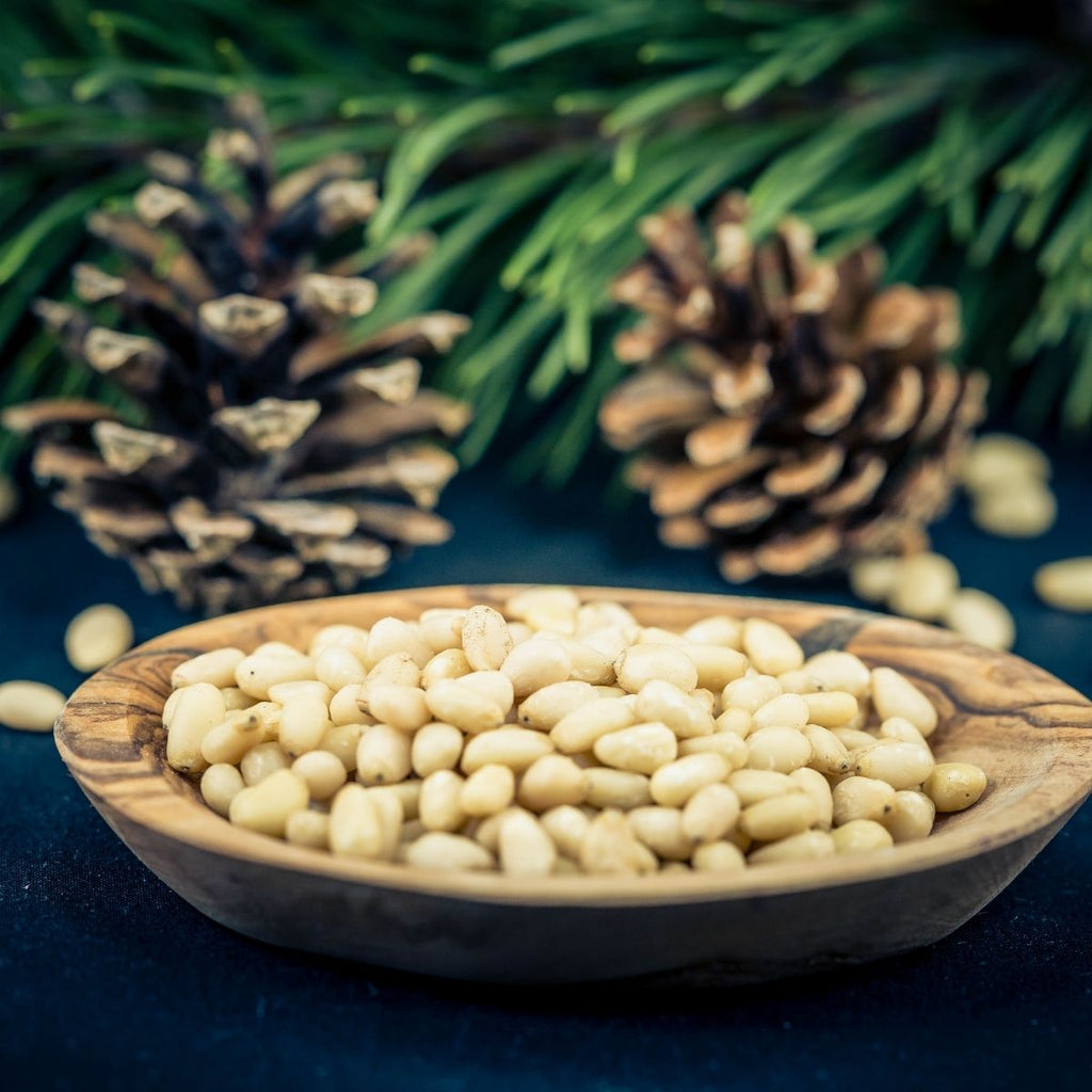 Pine Nuts Tree: Can You Grow One in Canada & Why Pine Nuts Are So Rare ...