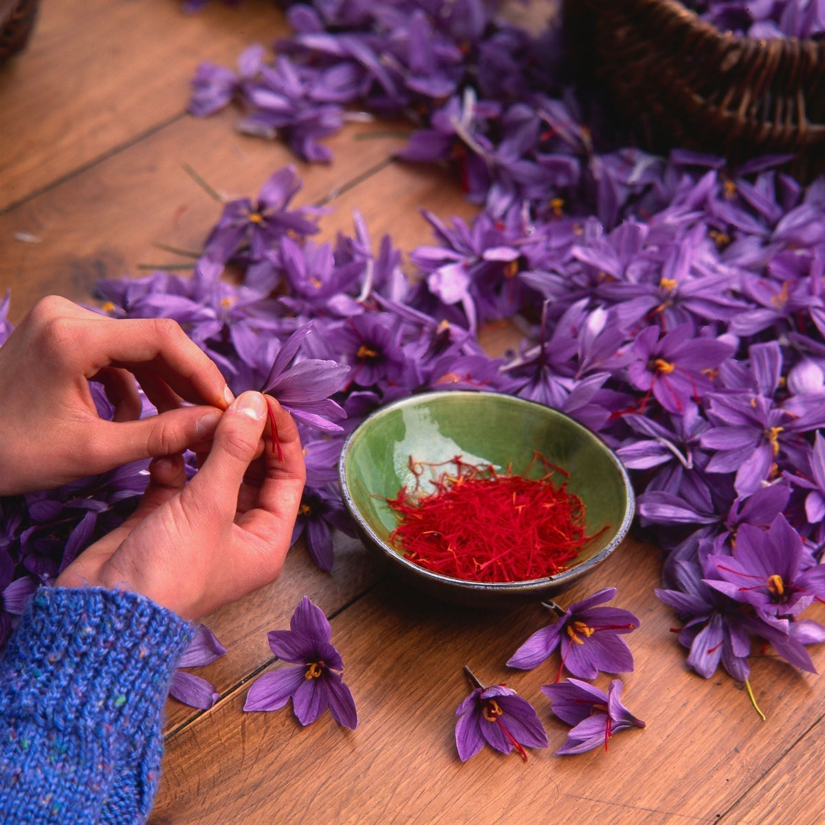 Saffron Benefits: The Golden Spice That Nourishes Body & Soul – Ayoub's ...
